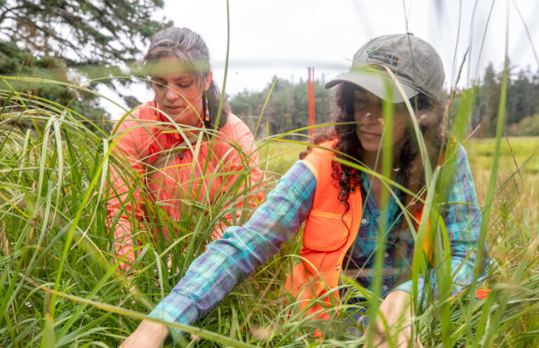 Creating Co-Stewardship - Friends of Acadia