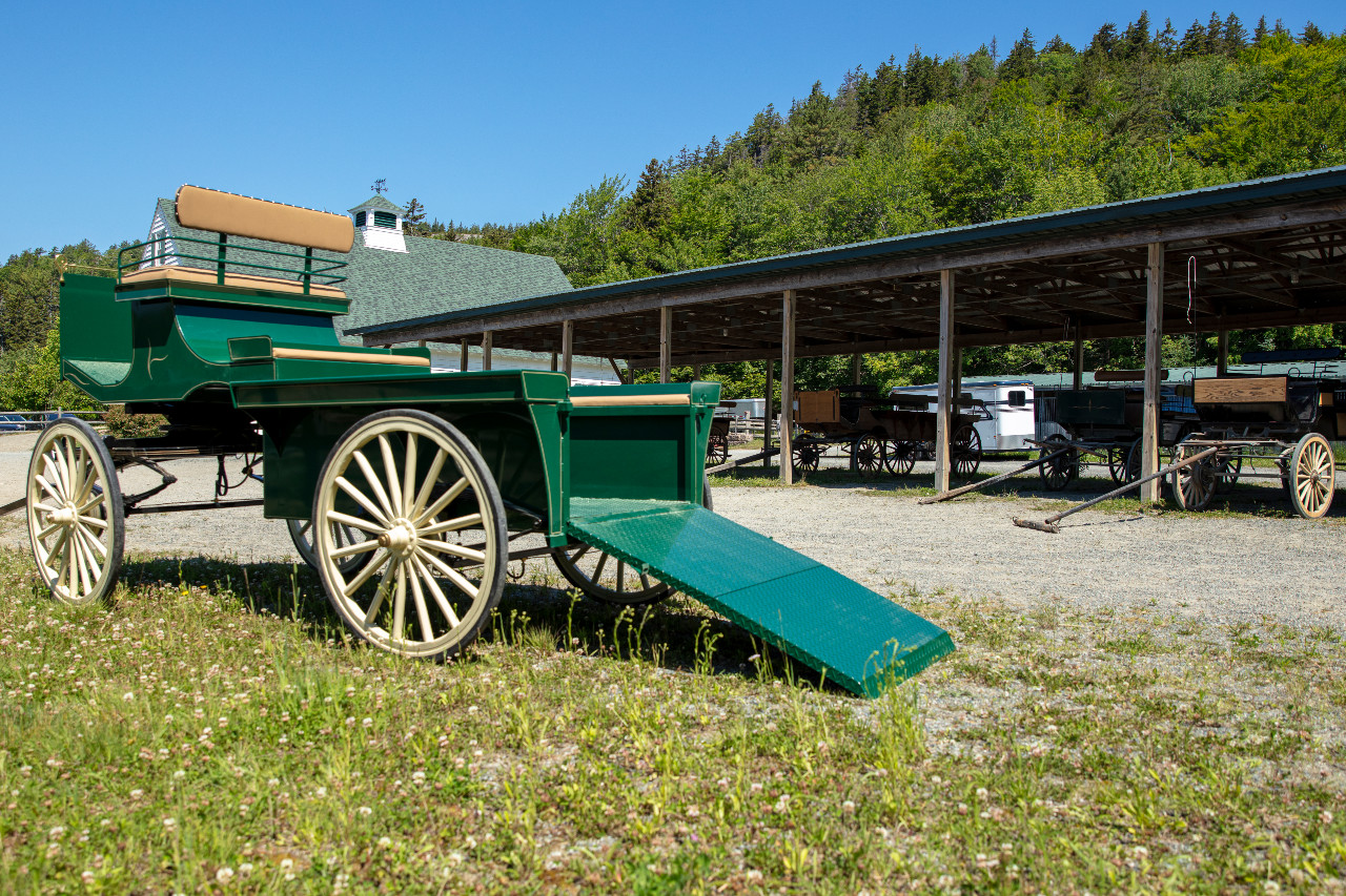 Wheelchair Accessible Carriage for Park Tours - Friends of Acadia