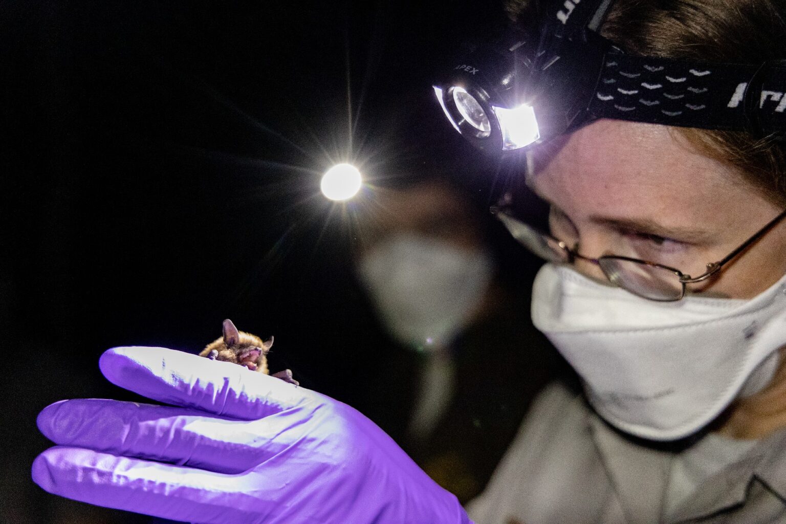 Wildlife Science in Acadia - Friends of Acadia