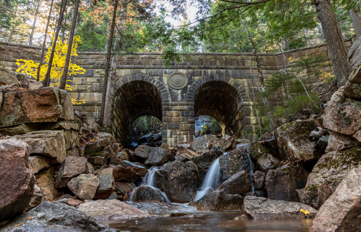 National Park Week: 9 Reasons We Love Acadia - Friends of Acadia
