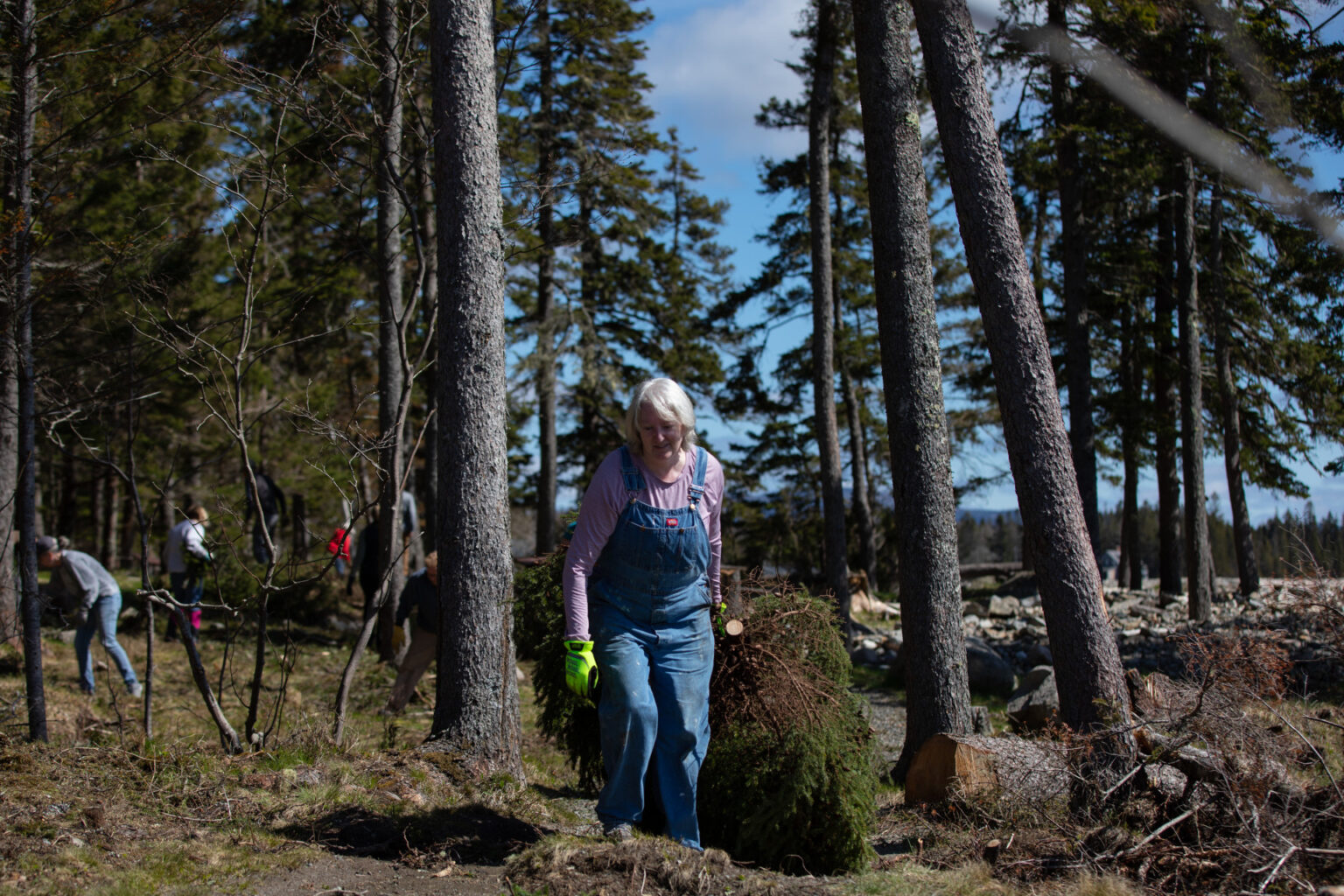 Thank You, Storm Clean-Up Volunteers! - Friends of Acadia