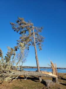 Storm Impacts at Acadia Still Being Assessed [Photos] - Friends of Acadia