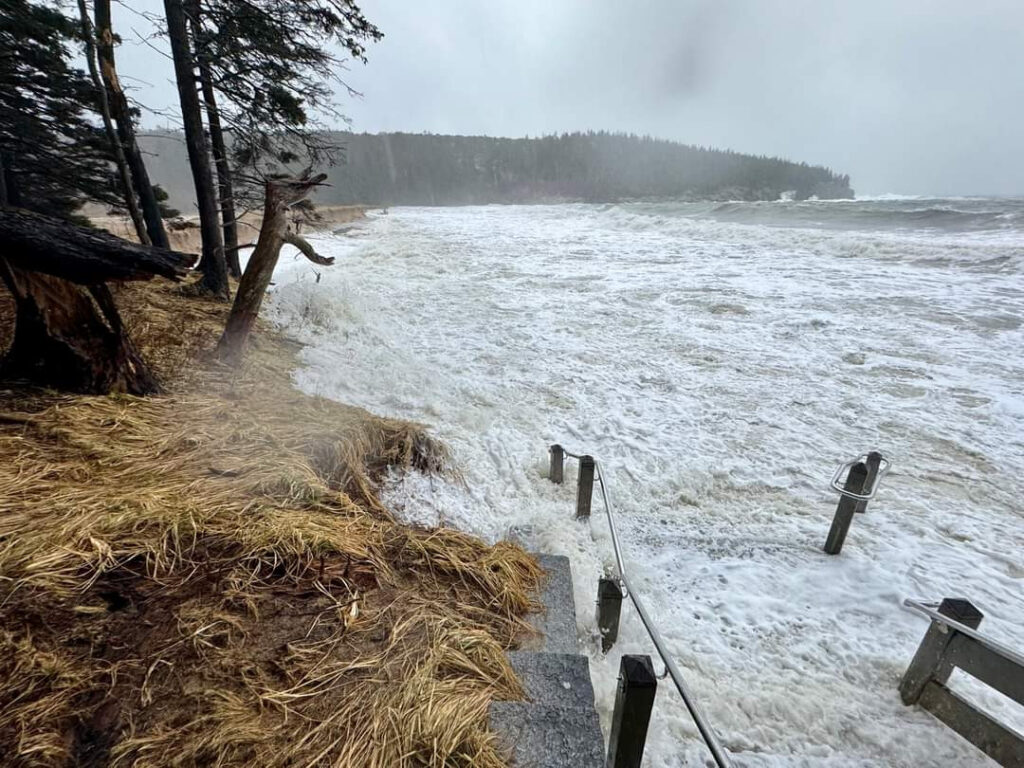 Storm Impacts at Acadia Still Being Assessed [Photos] - Friends of Acadia