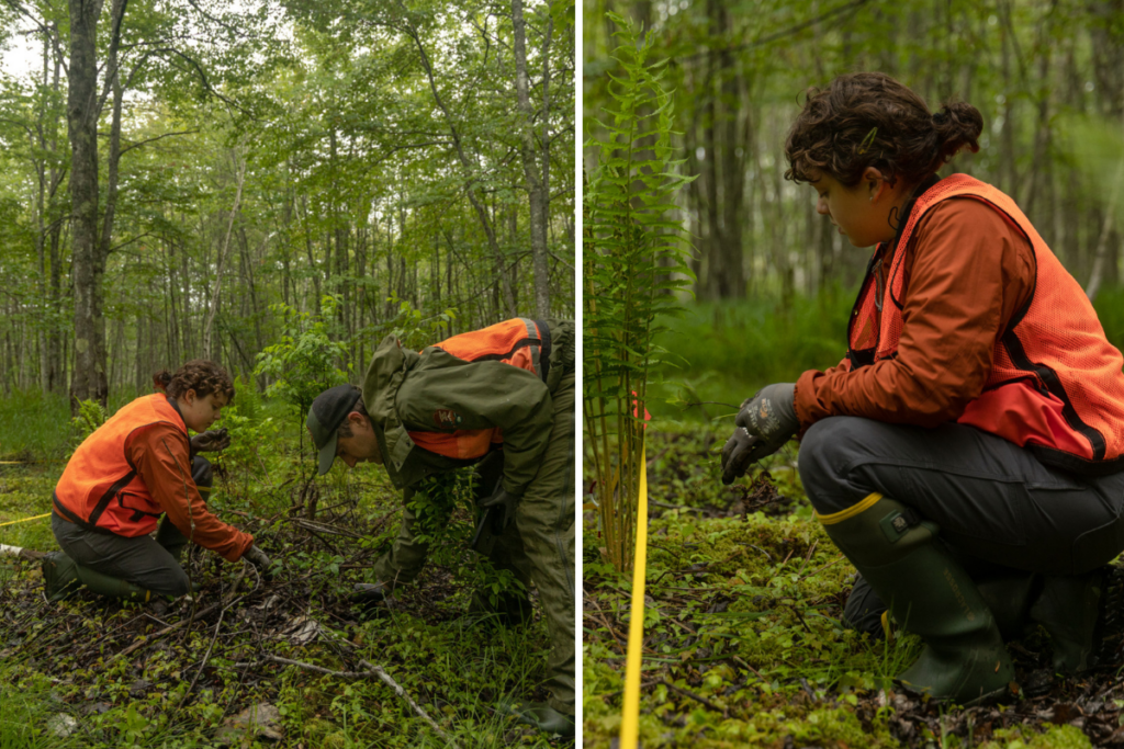 Fostering Future Park Leaders - Friends of Acadia