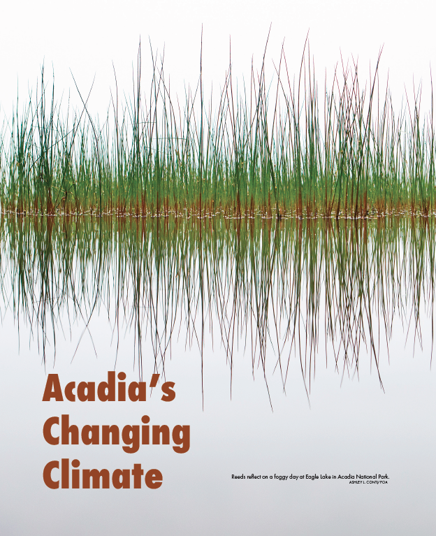 Acadia's Changing Climate - Friends of Acadia