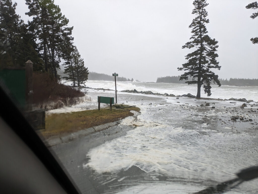 Taken by Storm - Friends of Acadia