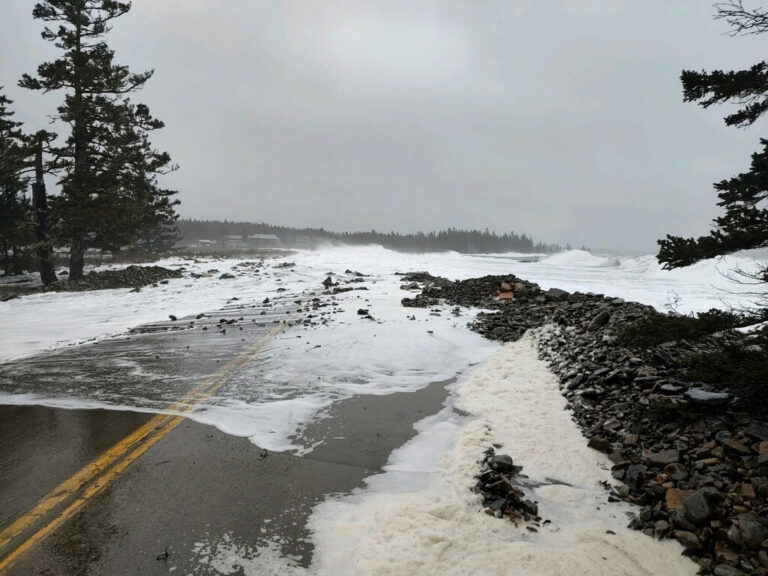 Storm Impacts at Acadia Still Being Assessed [Photos] - Friends of Acadia