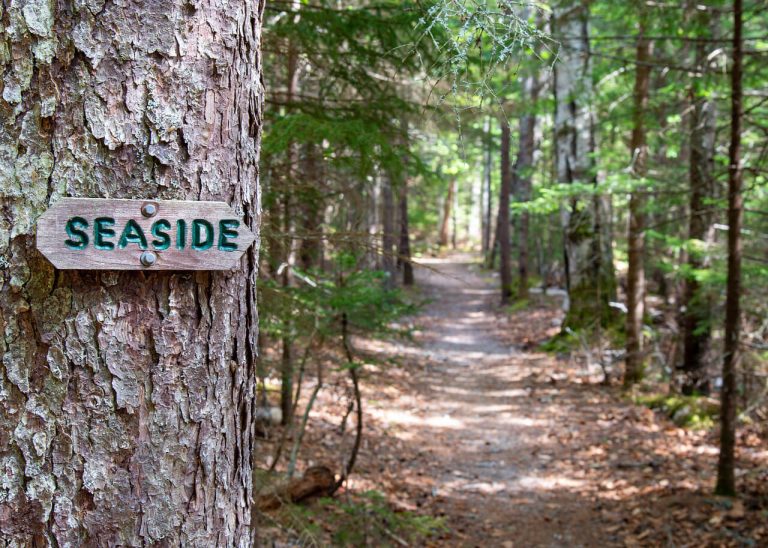 Protecting and Preserving Acadia Trails & Carriage Roads