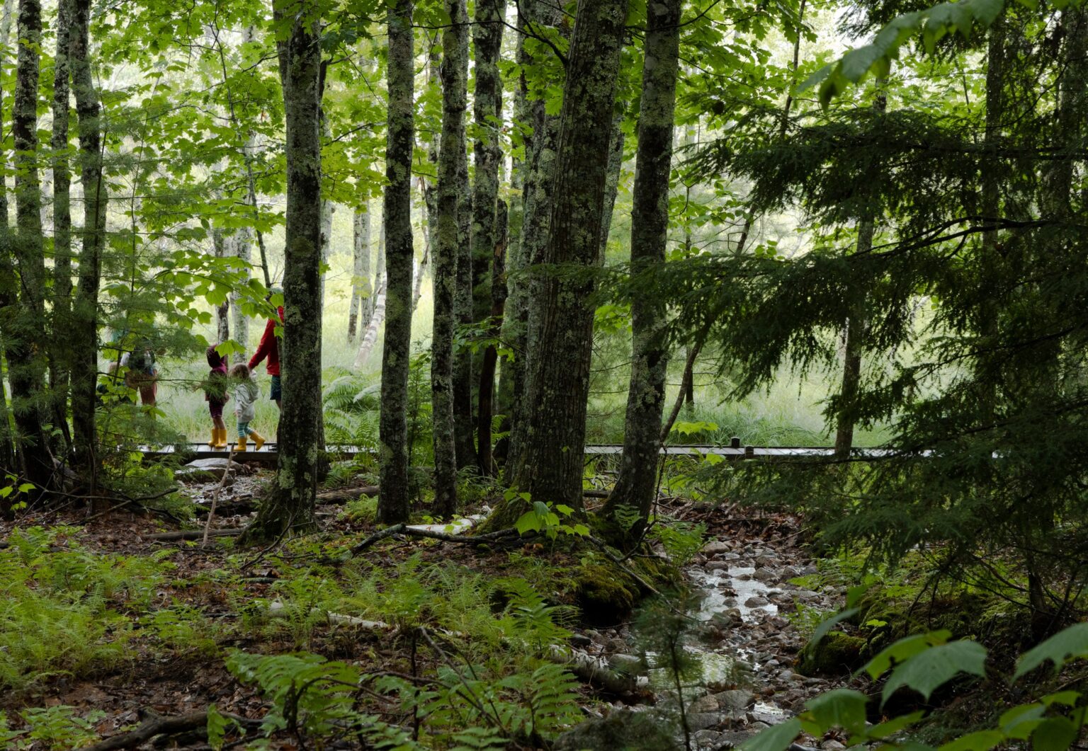 Photos! What's Happening in Acadia as Summer Transitions to Fall ...