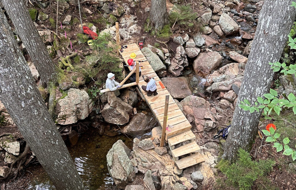 How Do You Solve a Problem Like Maple Spring? - Friends of Acadia