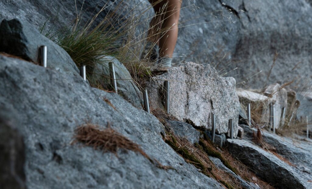 Photos! What's Happening in Acadia as Summer Transitions to Fall ...