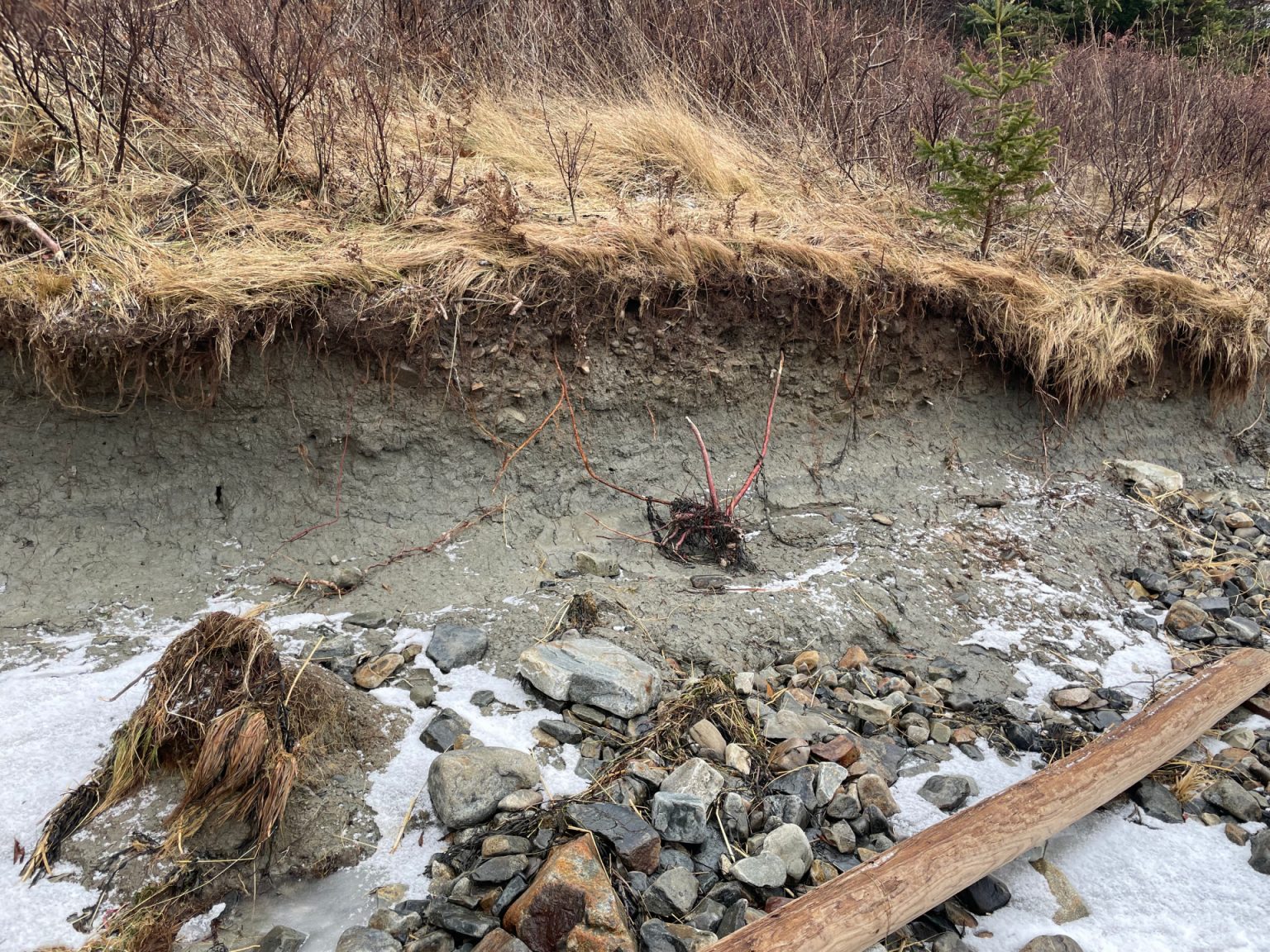 Dec. Storm Exposes Old Fence, Ice Age Clay at Sand Beach - Friends of ...