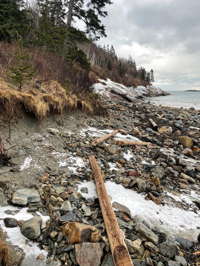 Dec. Storm Exposes Old Fence, Ice Age Clay at Sand Beach - Friends of ...