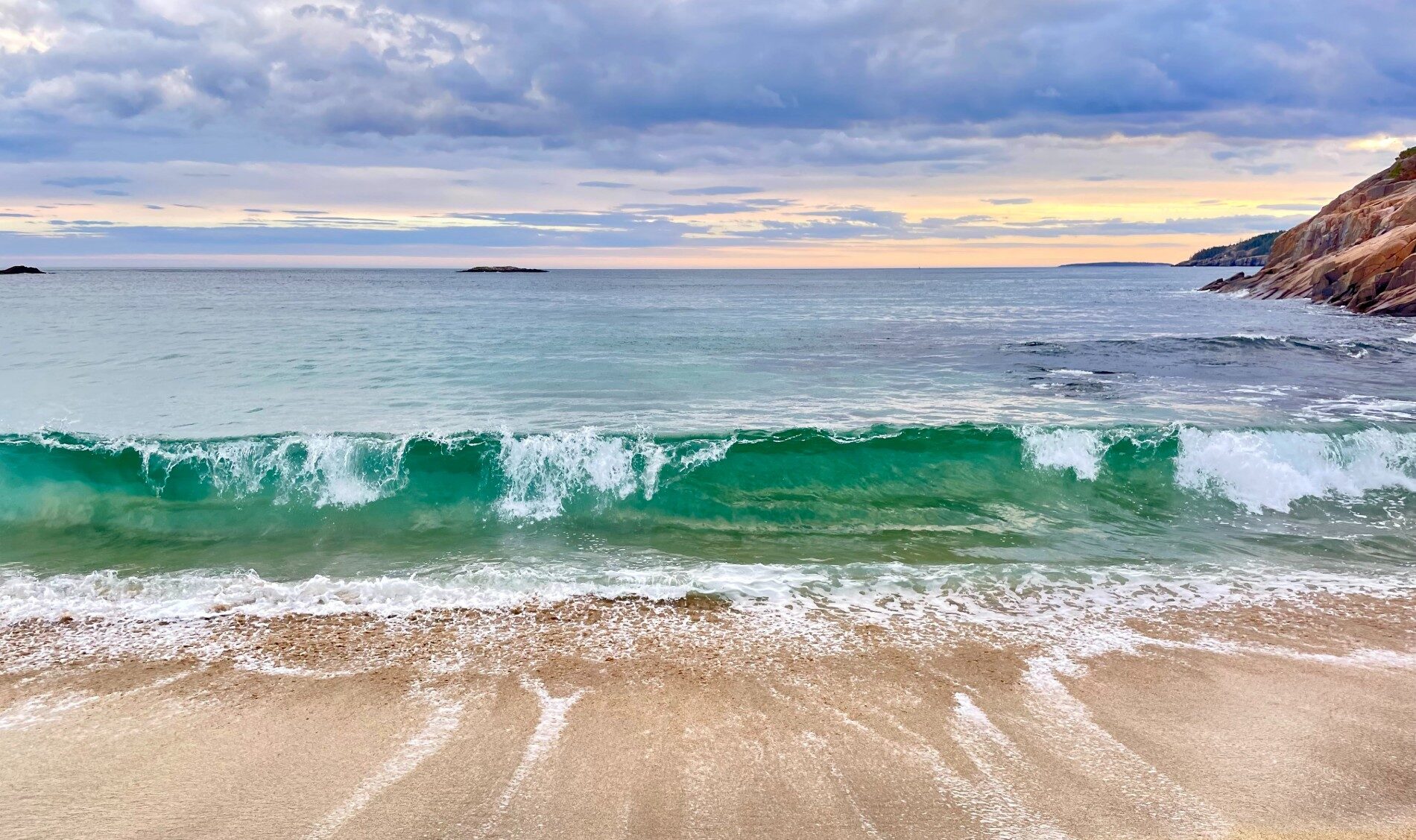Coasters | One-Time Donation - Friends of Acadia
